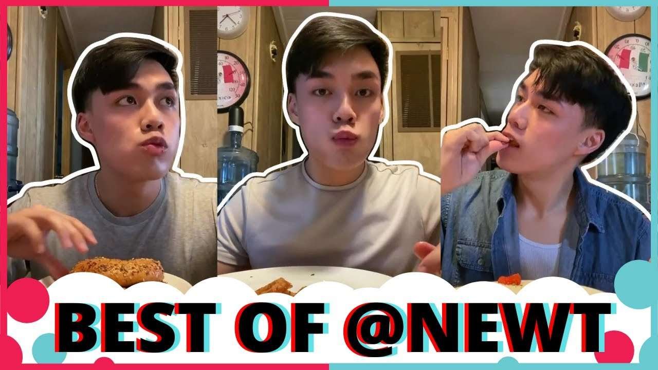 THE BEST AND MOST RECENT RECIPES BY @NEWT OR @milktpapi ON TIKTOK ...